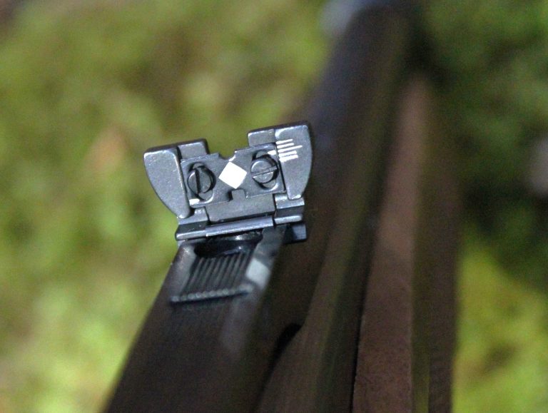 Dickson-Ruger-Rifle-3 - TheGunMag - The Official Gun Magazine of the ...