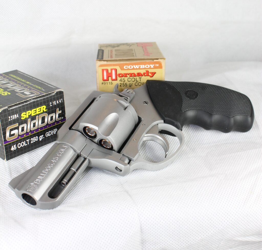 Wheelgun Wednesday: Stainless Eye Candy Really Shines in Harsh ...